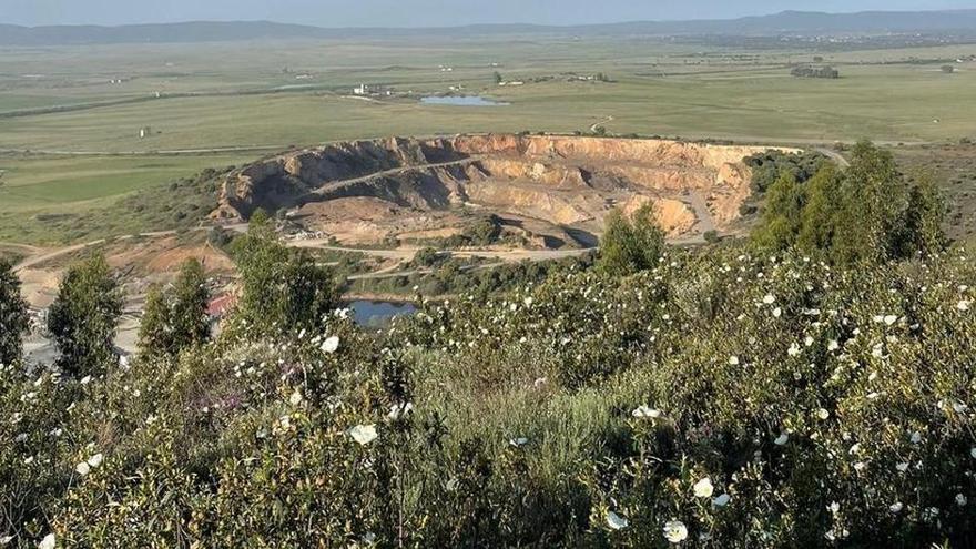 La Junta amplía 15 días el plazo para alegar sobre la reducción de ...