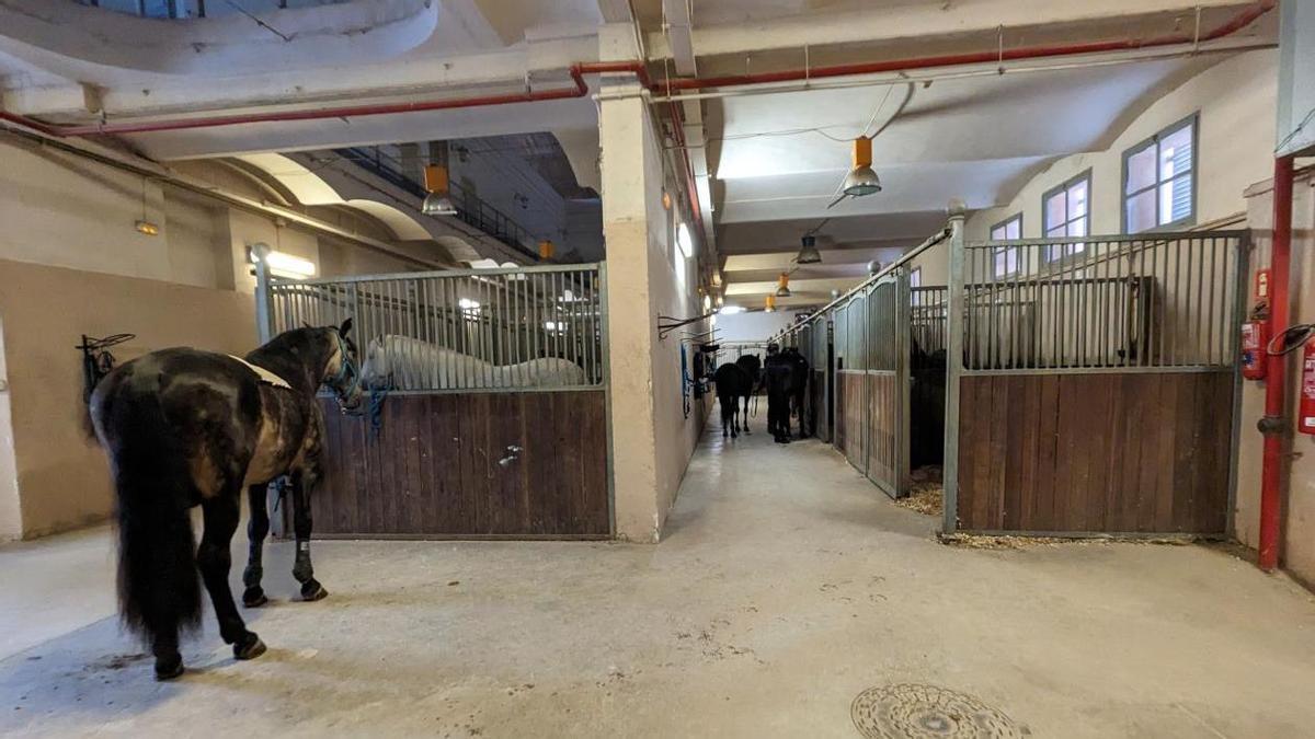 Barcelona reformará el edificio de la unidad montada de la Guardia ...