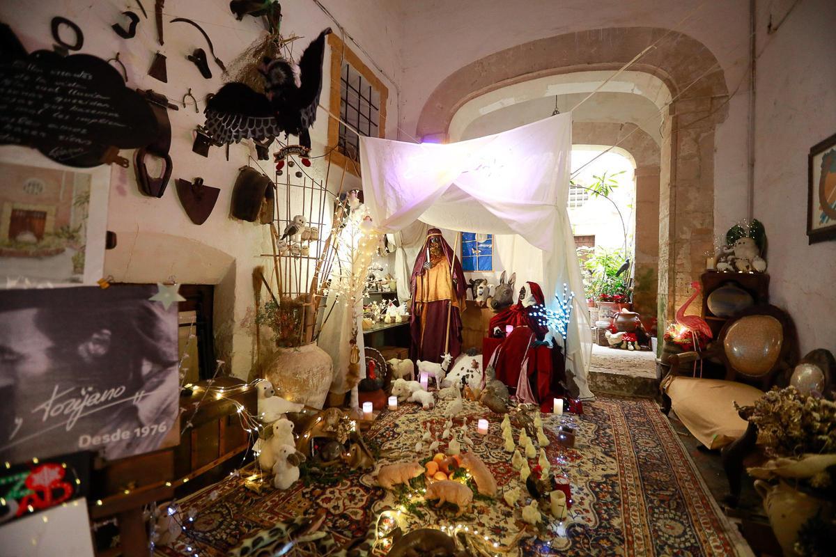 Navidad en Ibiza: Las serpientes crían en el belén de Dalt Vila