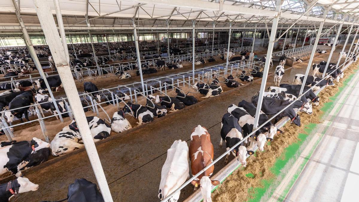BIOGÁS GRANJAS GALICIA | Hugo Criado, consultor agrotech experto en ...