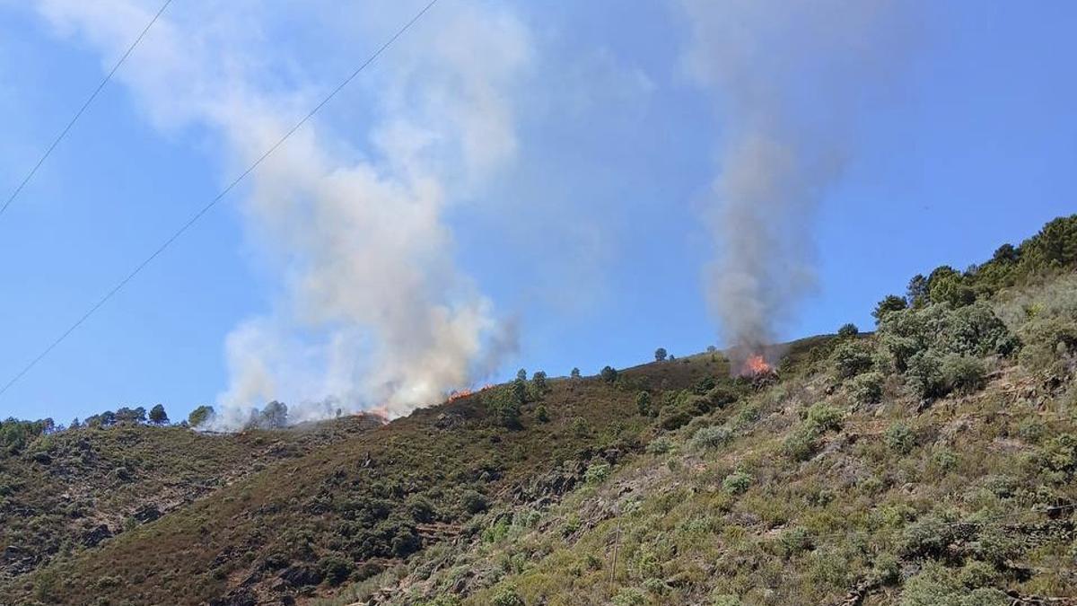 INCENDIOS NUÑOMORAL REINA: El incendio en La Fragosa se reactiva y se ...