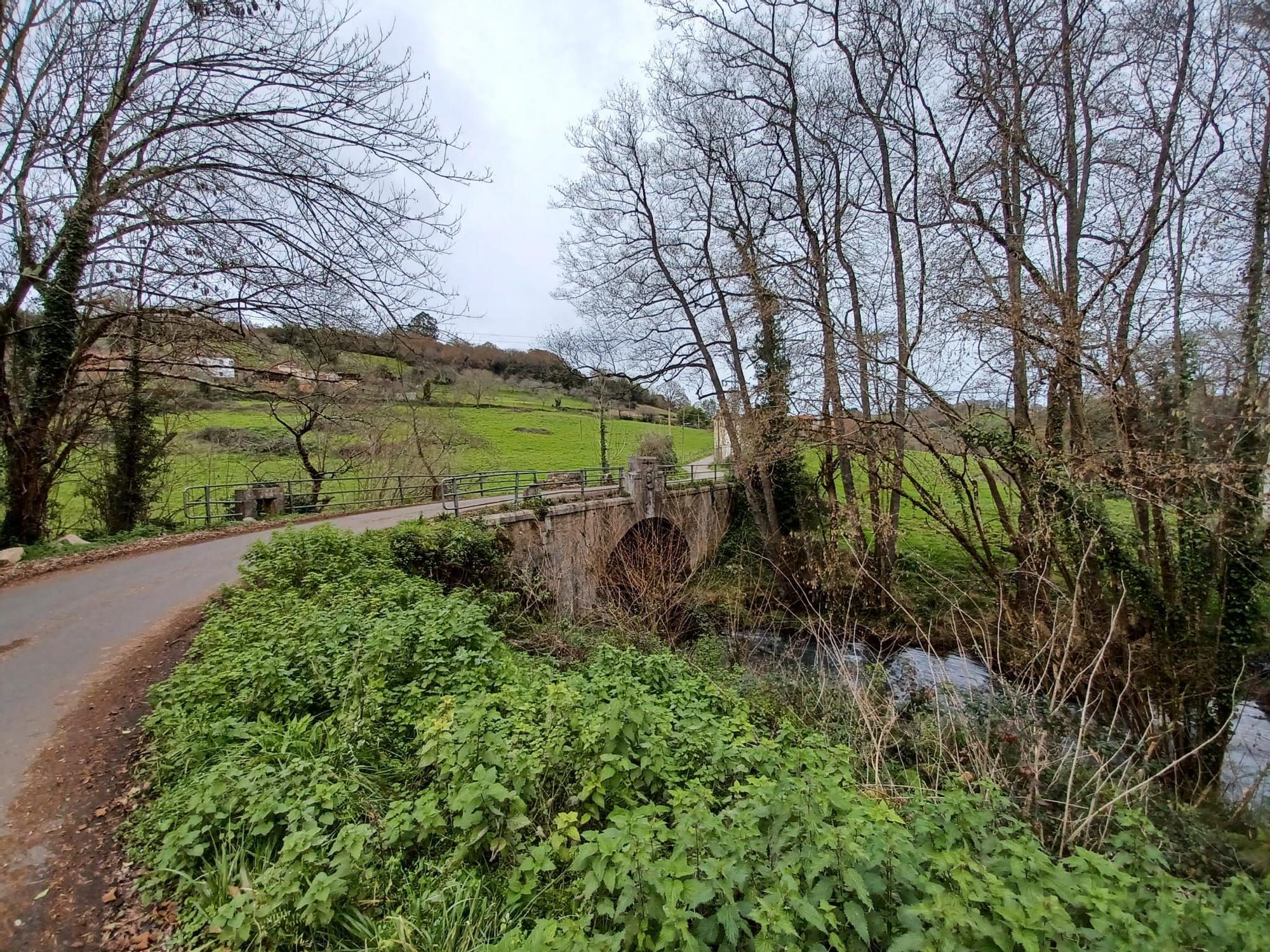 La ruta del bosque viejo de Báscones, un baño de historia y naturaleza ...