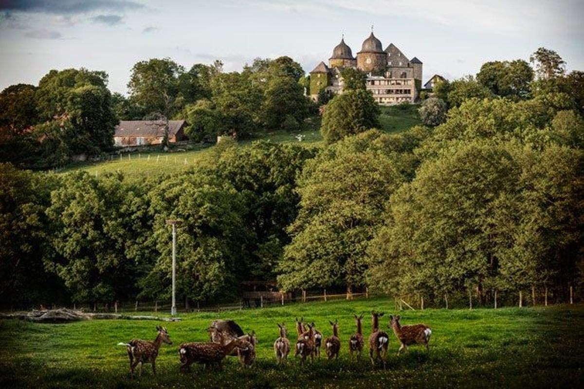 De paso por los cuentos de los hermanos Grimm - Viajar