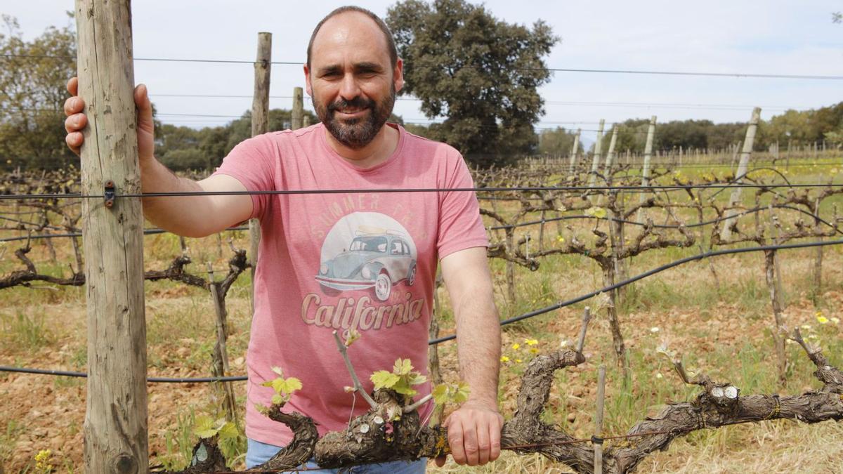 Eine Bodega auf Mallorca, die aus Tradition Bio-Wein macht