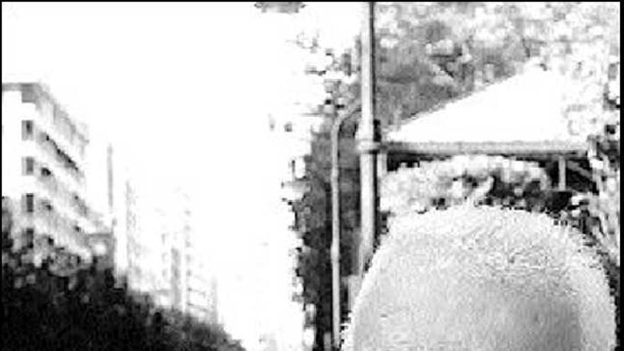 «La transición no fue cosa del Rey ni de Suárez; la hicieron los ...