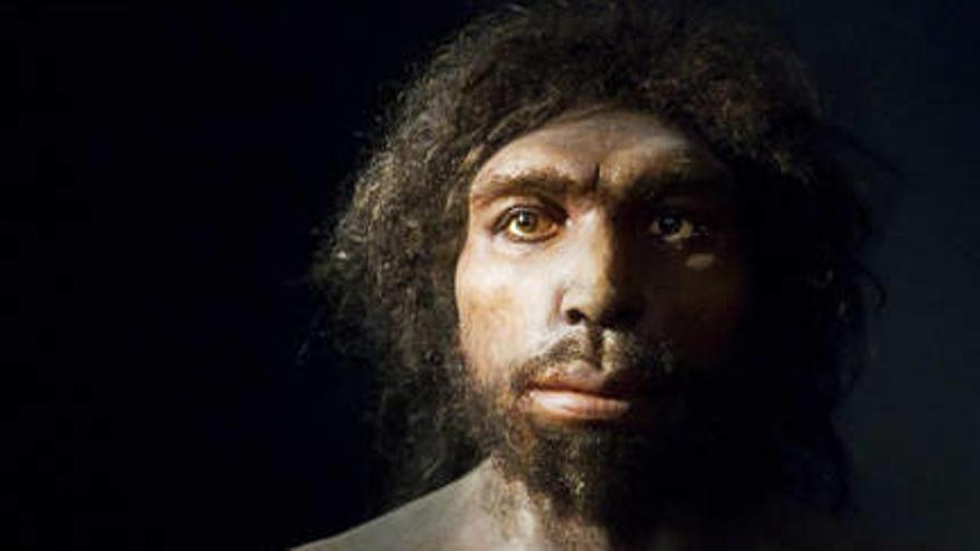 Al Homo antecessor también le dolían las muelas del juicio