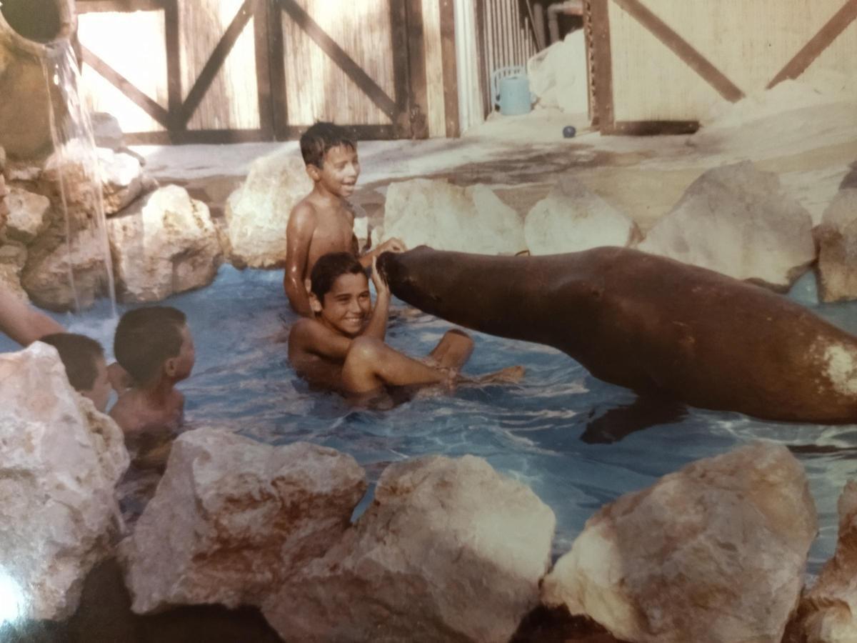 El hotel de lujo en el Safari Park de El Verger choca con un muro: toca ...