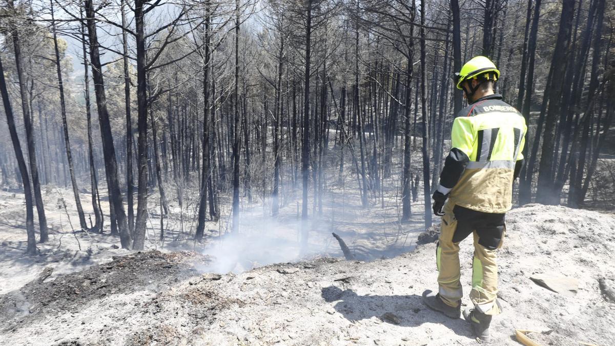 El incendio de El Pueyo de Araguás afecta a 140 hectáreas, última hora