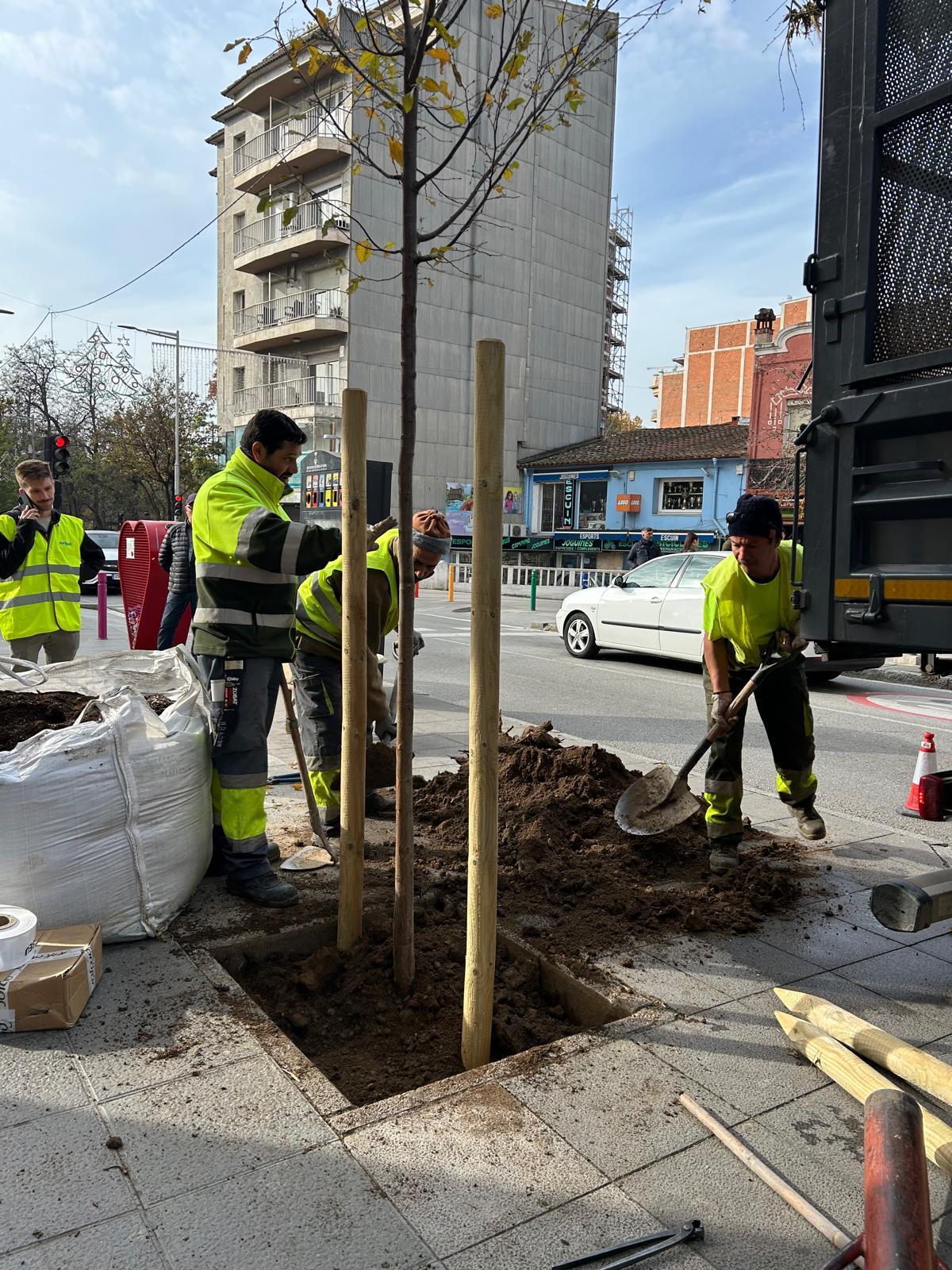 MOLLET DEL VALLÈS | ¿En qué gasta el dinero el ayuntamiento de Mollet ...
