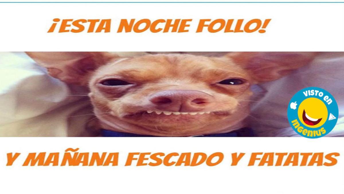 Memes De Fatatas MS_memer_group Pepe Punch Memes & GIFs Imgflip