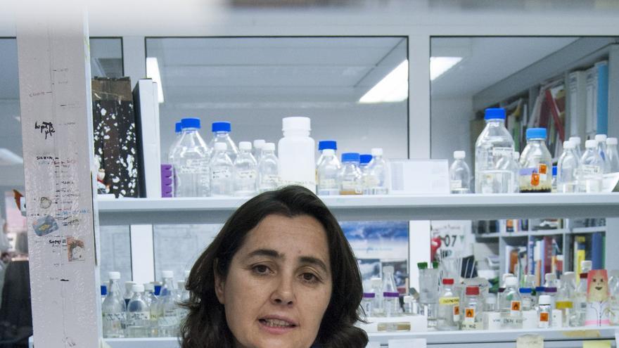 María Fernández, directora del IPLA, nueva delegada del CSIC en ...