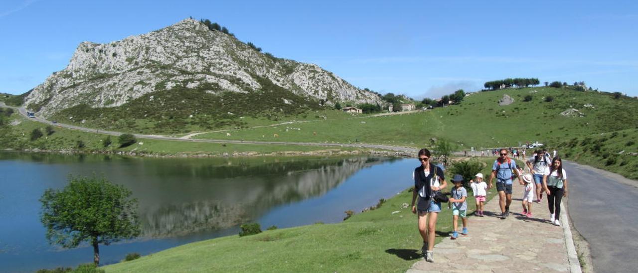El tren cremallera a los lagos de Covadonga, un proyecto sometido a los ...