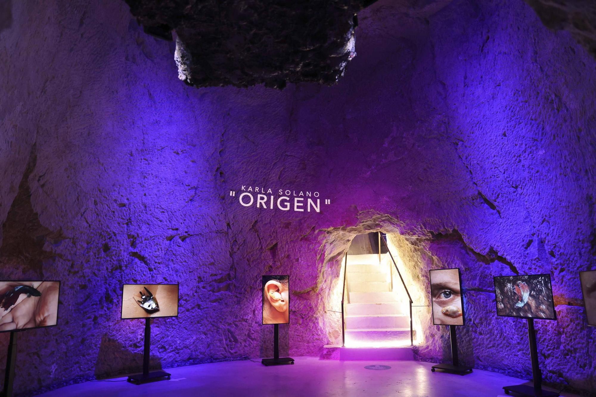La artista costarricense Karla Solano instala "Origen" en la nueva sala ...