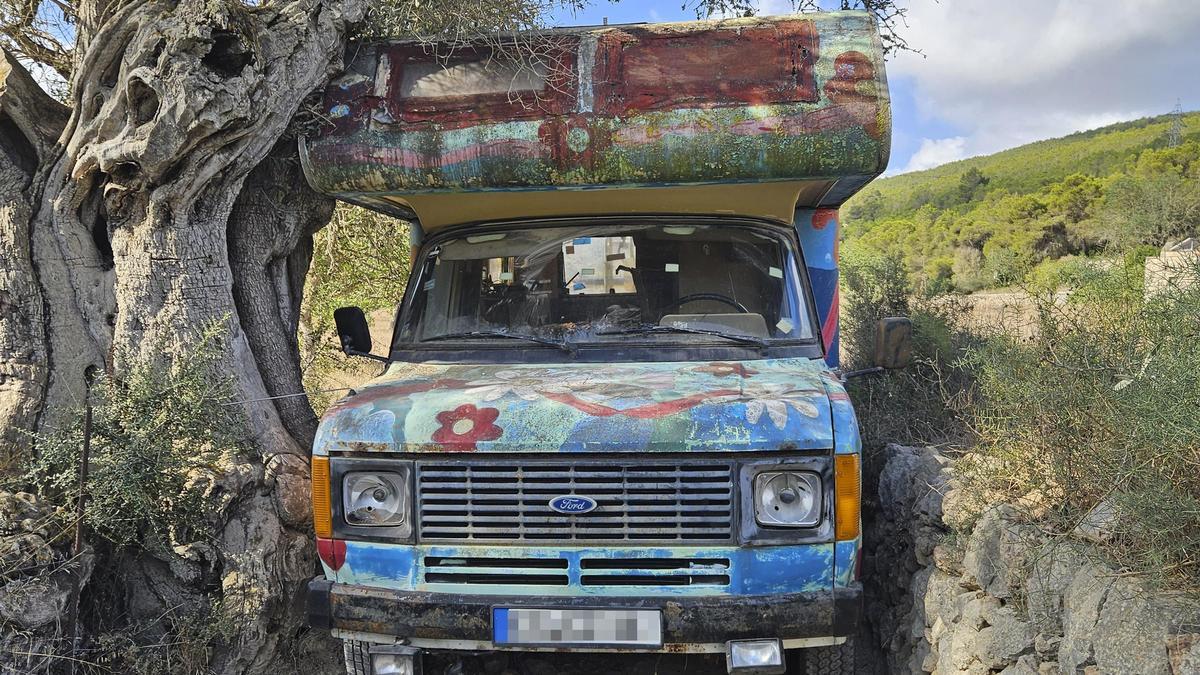 Una camioneta atrapada por un olivo centenario en Ibiza