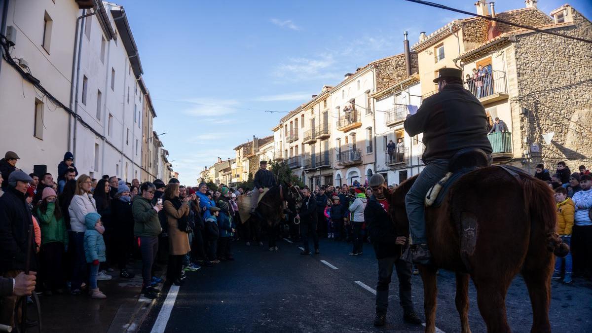 SANT ANTONI VILAFRANCA | Vilafranca es prepara per al seu 'Dia de la malea'