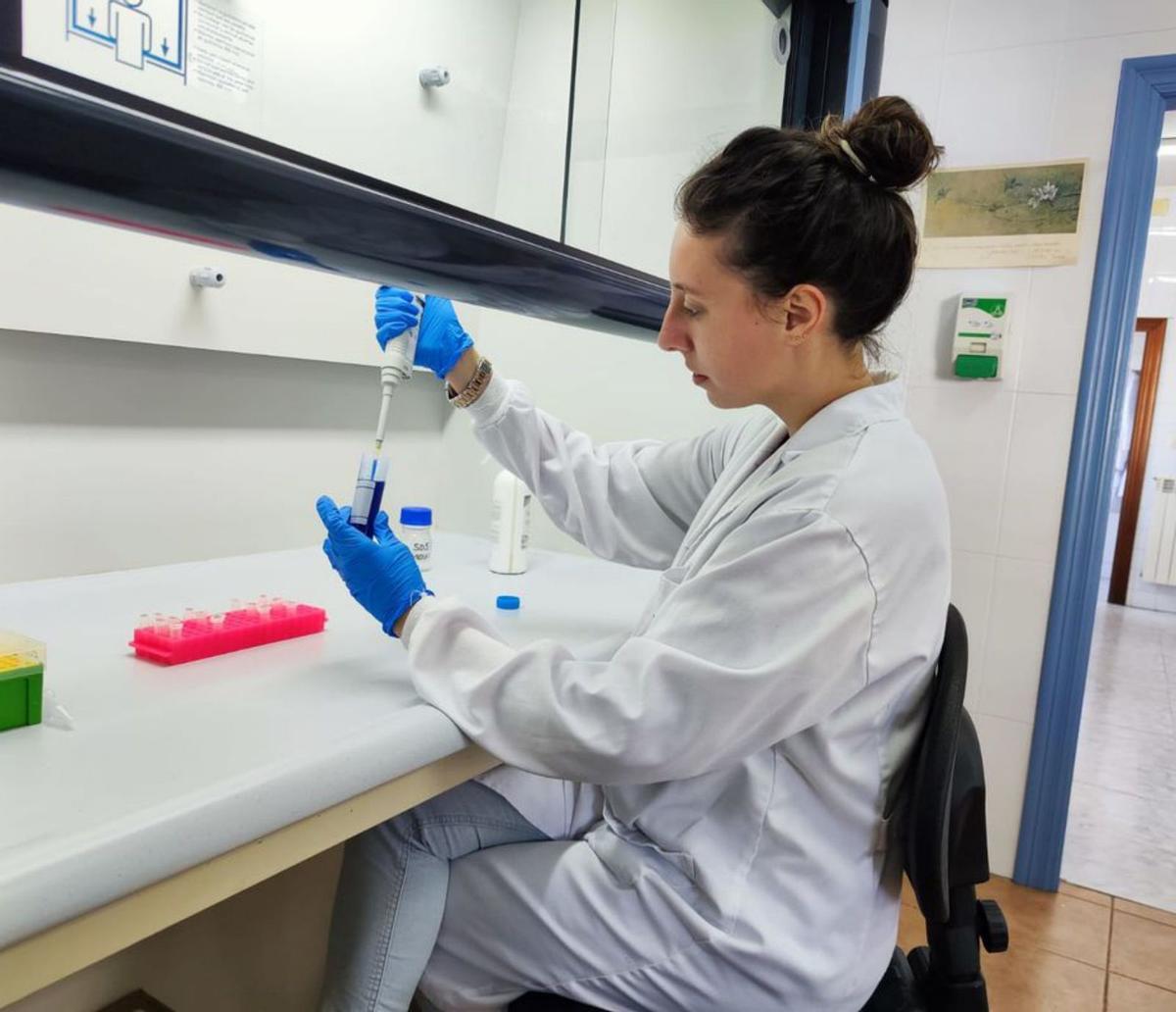 Un cuarto de siglo con muy buena planta: el Serida celebra 25 años de ...