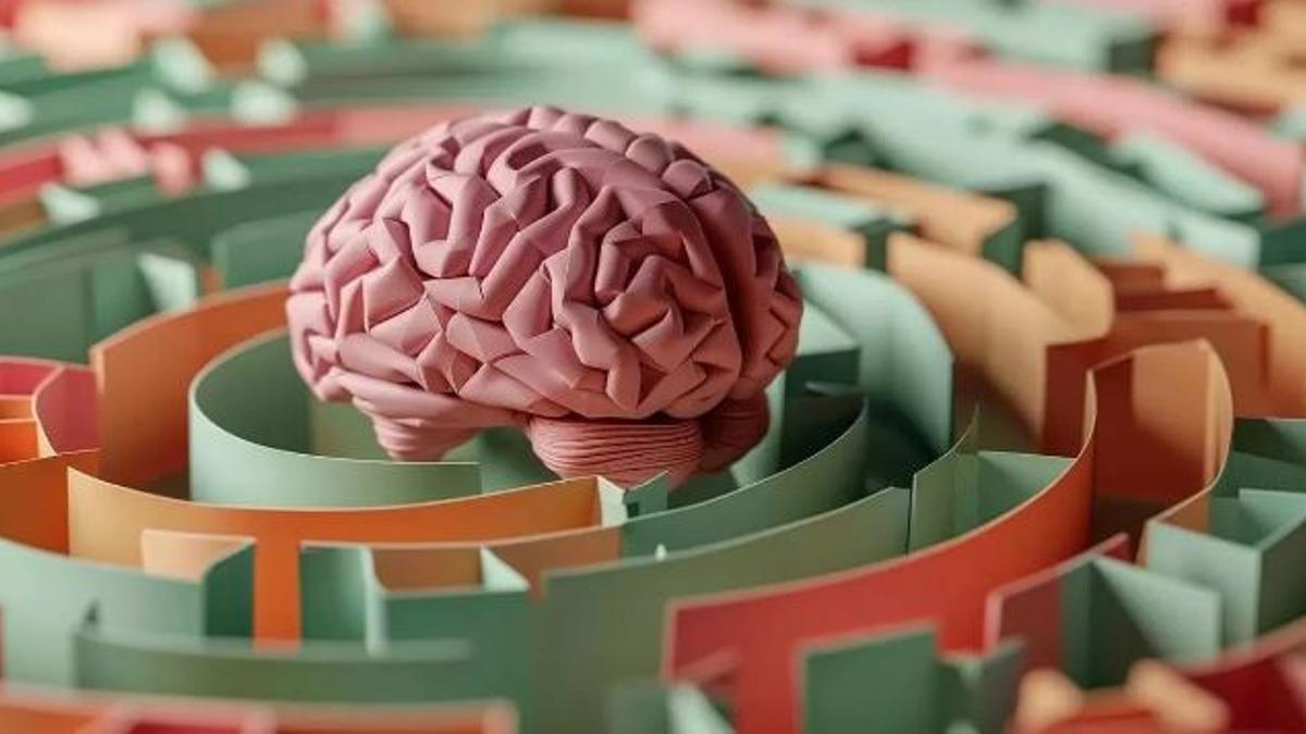 Confirmat: aquest és el millor aliment per potenciar la memòria