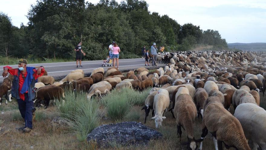 Las vías pecuarias de Zamora, olvidadas en los mapas de caminos ...