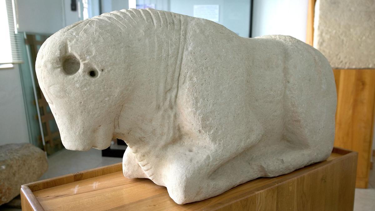 Fallece el descubridor del Toro Ibérico de Monforte del Cid - Información