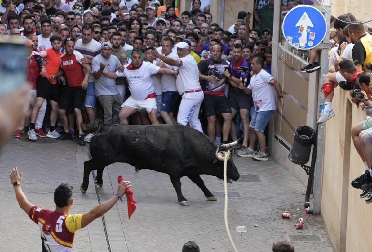 El Cebada Gago "Glorificado" debuta en Benavente y completa el ...