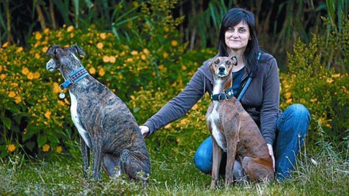 Laura Vilella: "Cada año matan a 50.000 galgos en España"