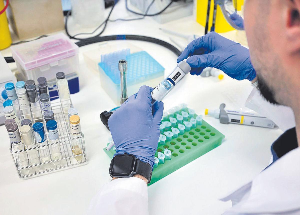 ANTIBIÓTICOS | Un hallazgo que ayudará a los humanos a ser más ...