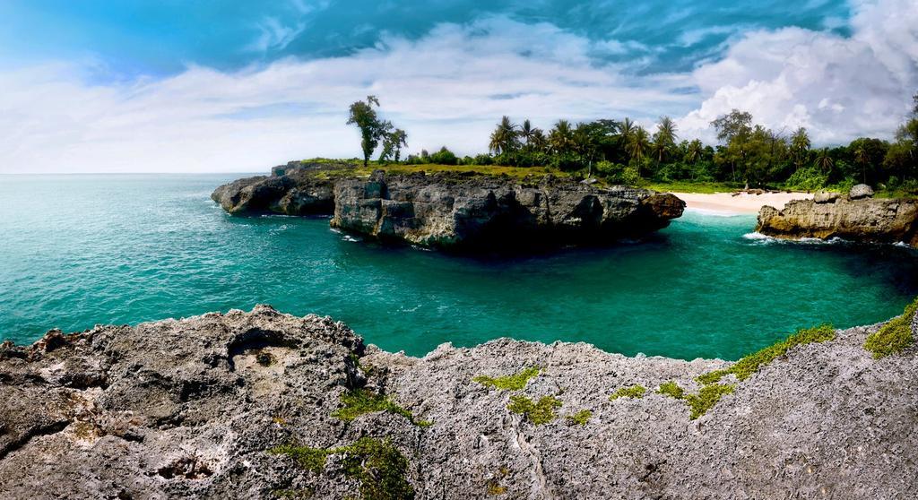 ¿Árboles que parecen bailar y caballos nadando en el océano? Así es la ...