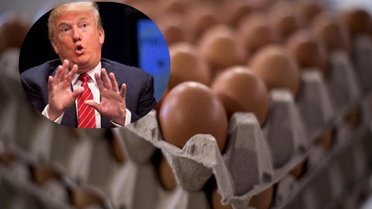 La crisis de huevos en Estados Unidos obliga a Donald Trump importarlos ...