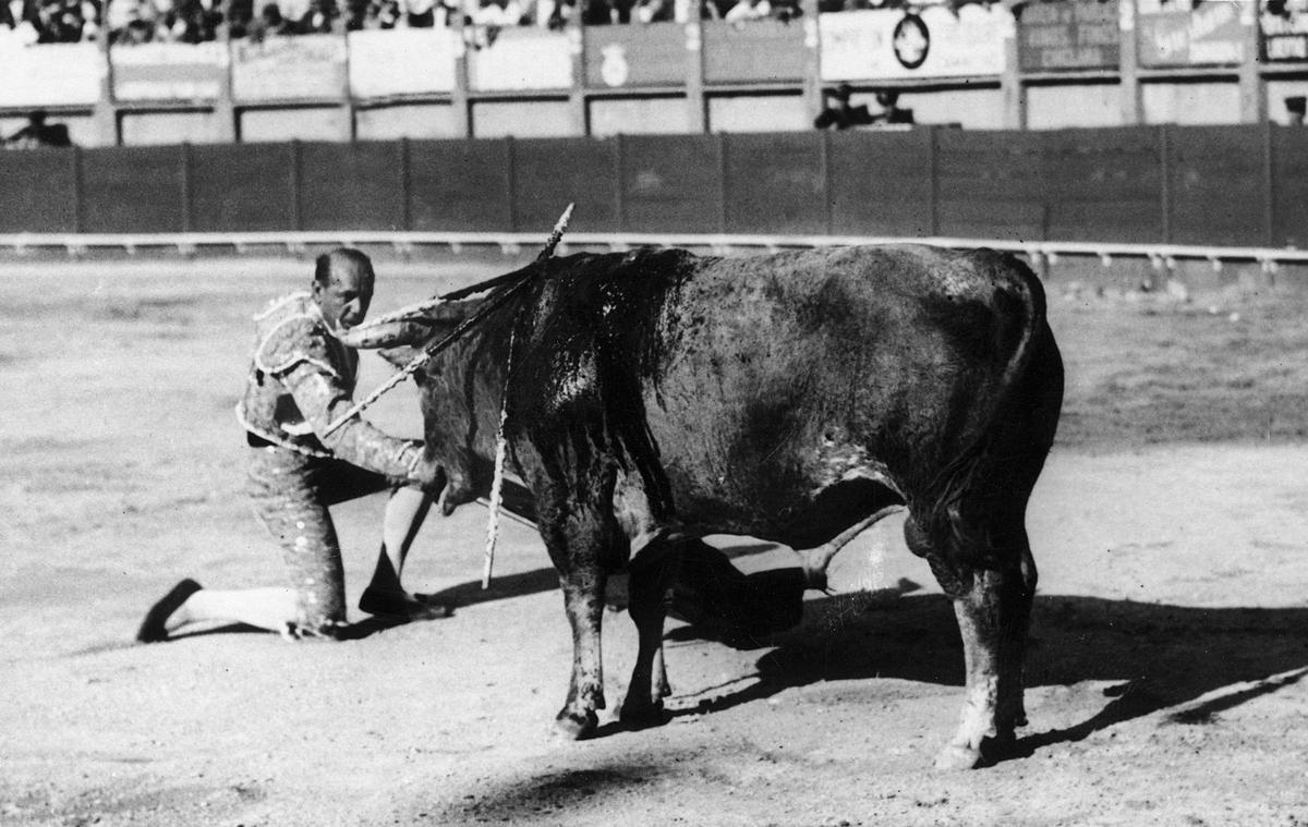 Última semana de la Feria de San Isidro 2026 en Las Ventas: así será la ...
