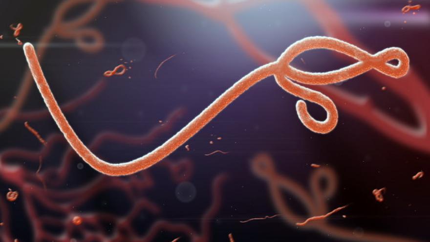 Los cinco virus más mortales de la historia