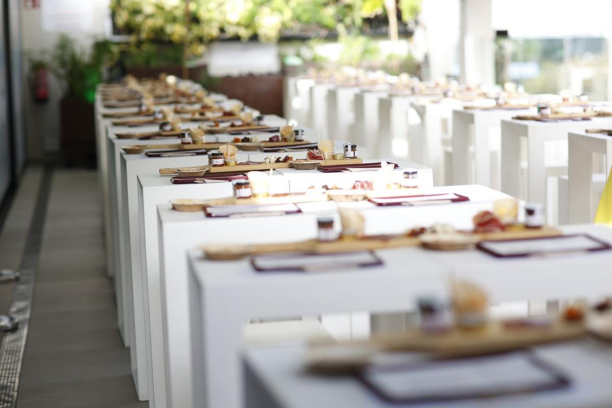 FOTOS | Binter presenta sus menús gourmet ‘Más canarios y sostenibles’