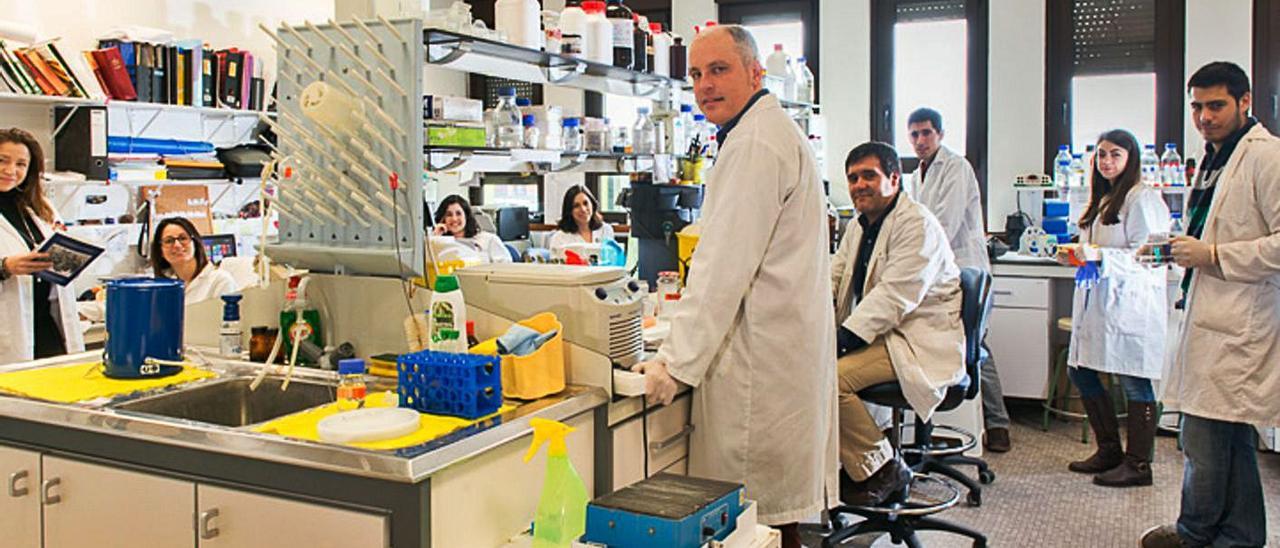 La investigación del cáncer, joya del polo biosanitario, ingresa seis ...