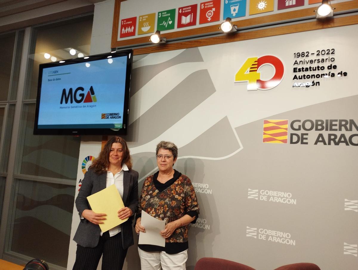 Memoria Genética de Aragón consigue 200 registros de ADN al comenzar ...