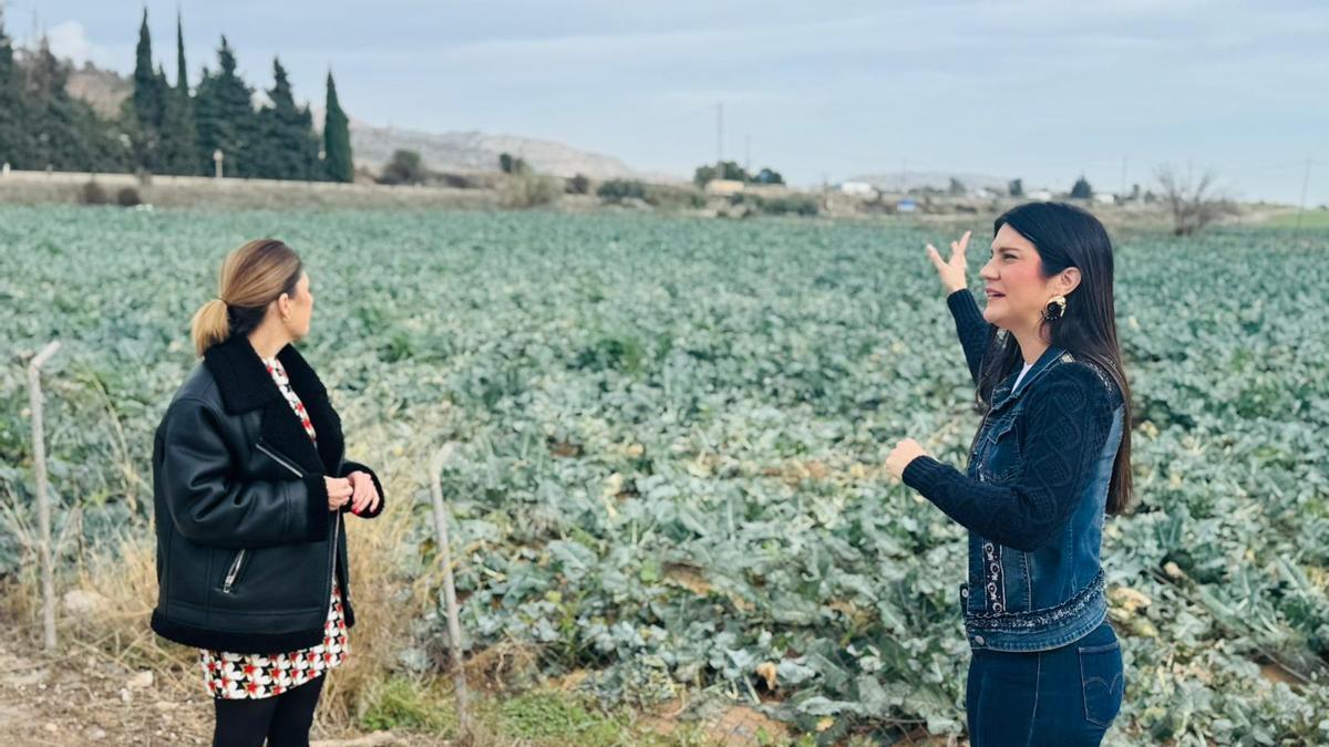 Nuevo Instituto Lorca | El Ayuntamiento de Lorca inicia la expropiación de los terrenos para el ...