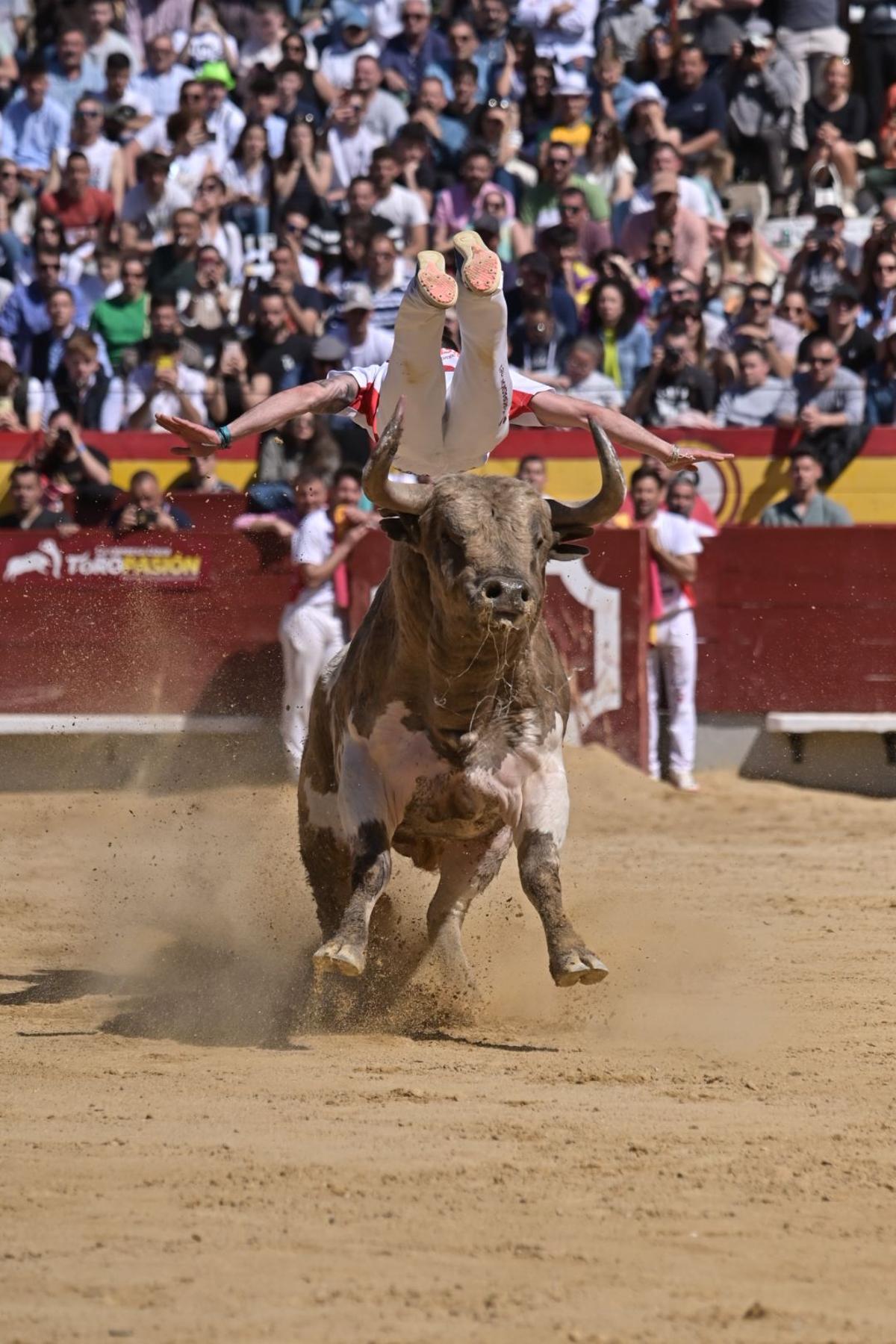 El espectáculo de los recortes, a flor de piel y en imágenes