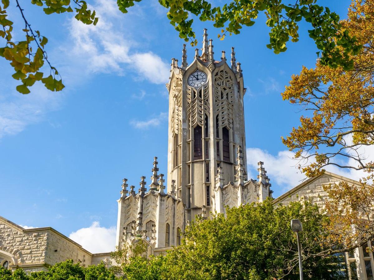 QUÉ VER EN AUCKLAND | 7 imprescindibles de Auckland, la ciudad más grande y poblada de Nueva Zelanda