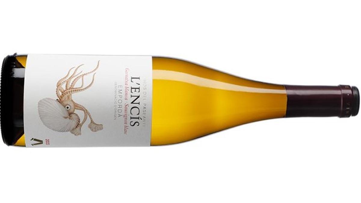 Los mejores vinos por menos de 20 €: los favoritos de Raquel Rodríguez ...