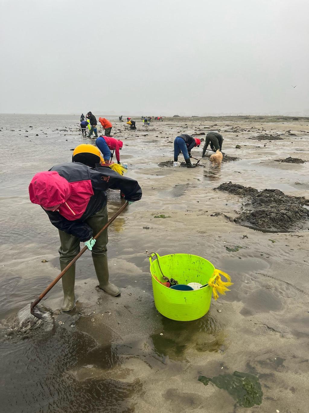 MARISCADOR EN GALICIA | Mariscar en Galicia: el trabajo con "la mejor ...