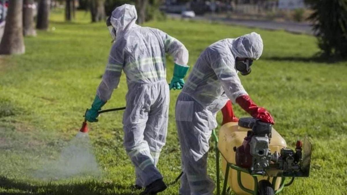 Virus del Nilo | Frenar el Virus del Nilo, en manos de los ...