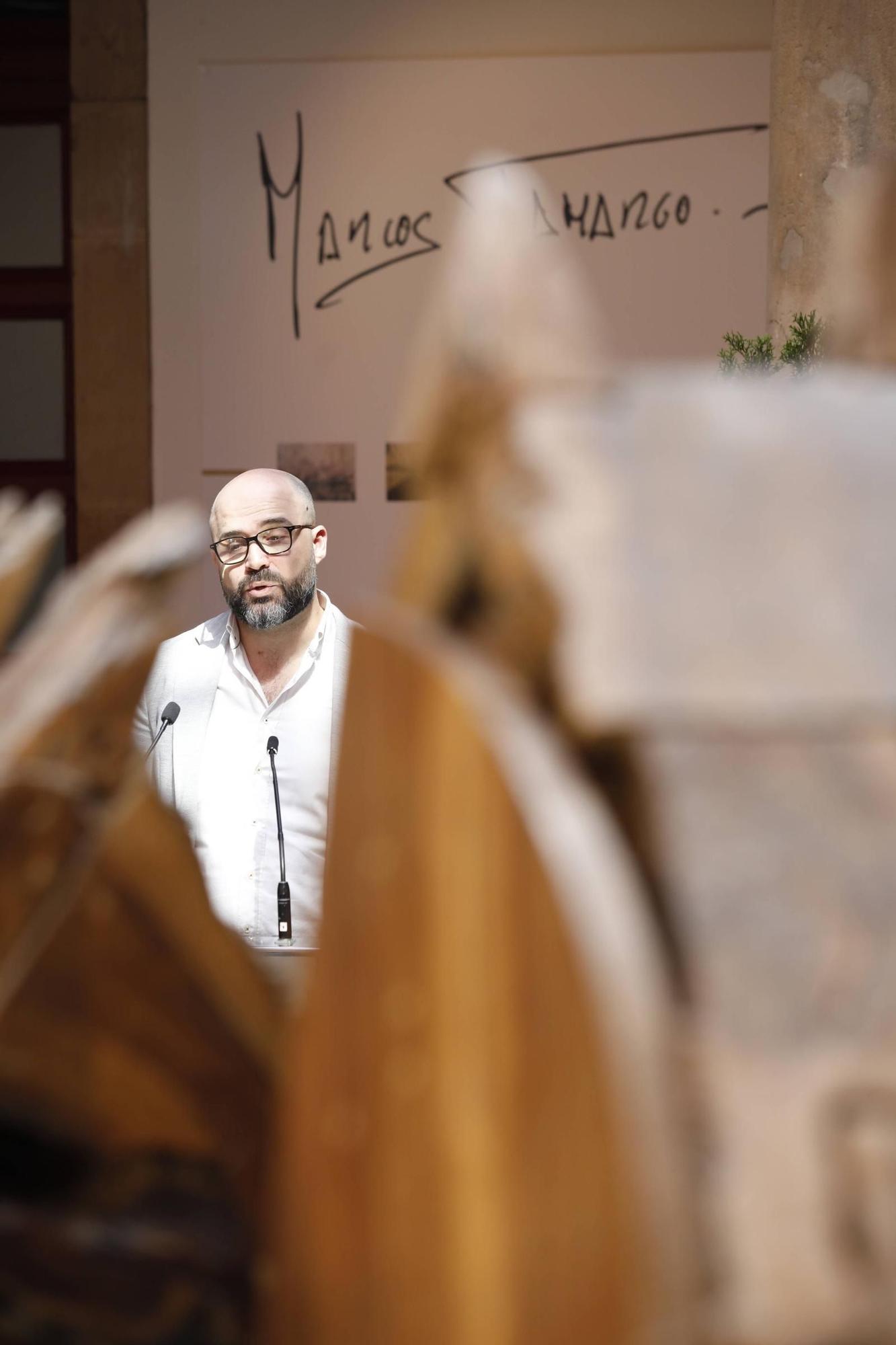 Exposición de Marcos Tamargo en el Palacio de Revillagigedo