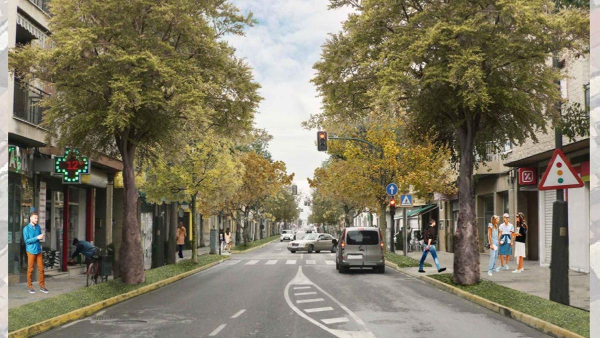 Más de 60 nuevos árboles de gran porte darán sombra a la avenida Calvo ...