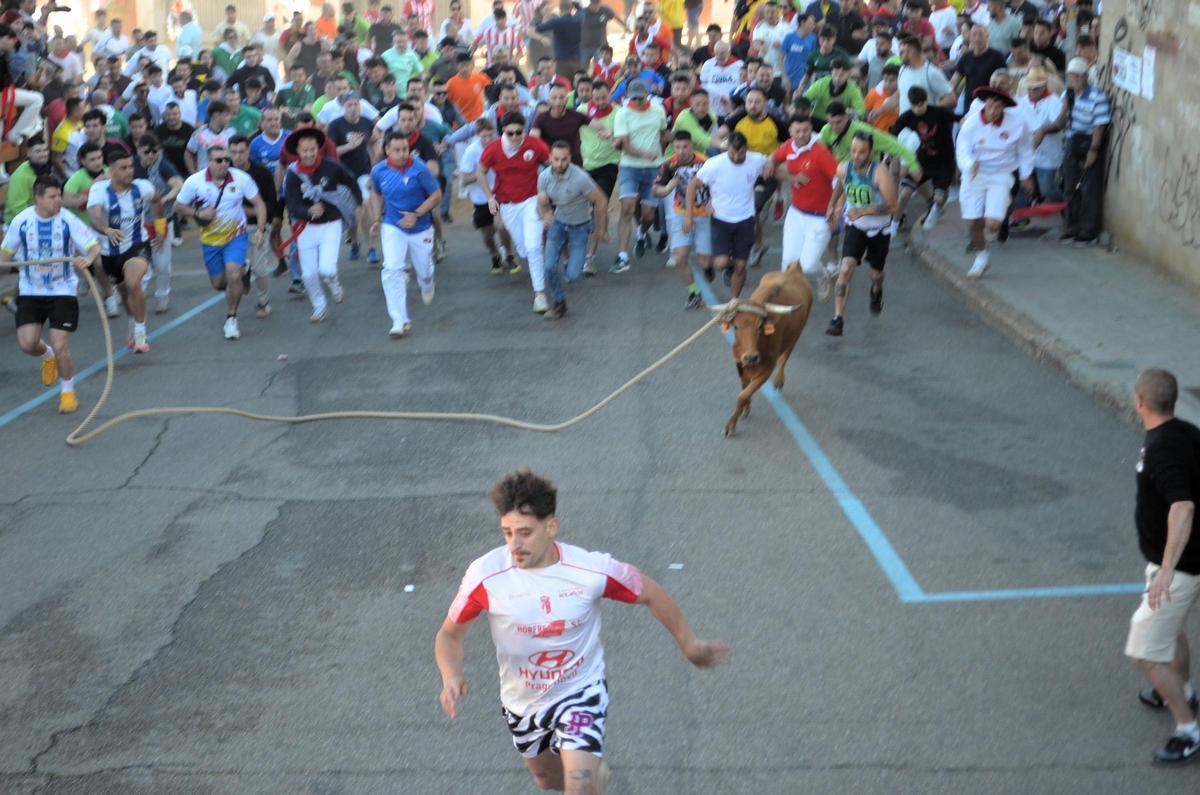 La carrera del Torito del Alba "Ganadora", de Benavente, en imágenes