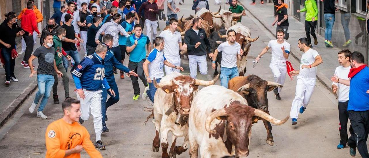 Récord en Onda con 28 toros cerriles y tres encierros para la Fira: el ...