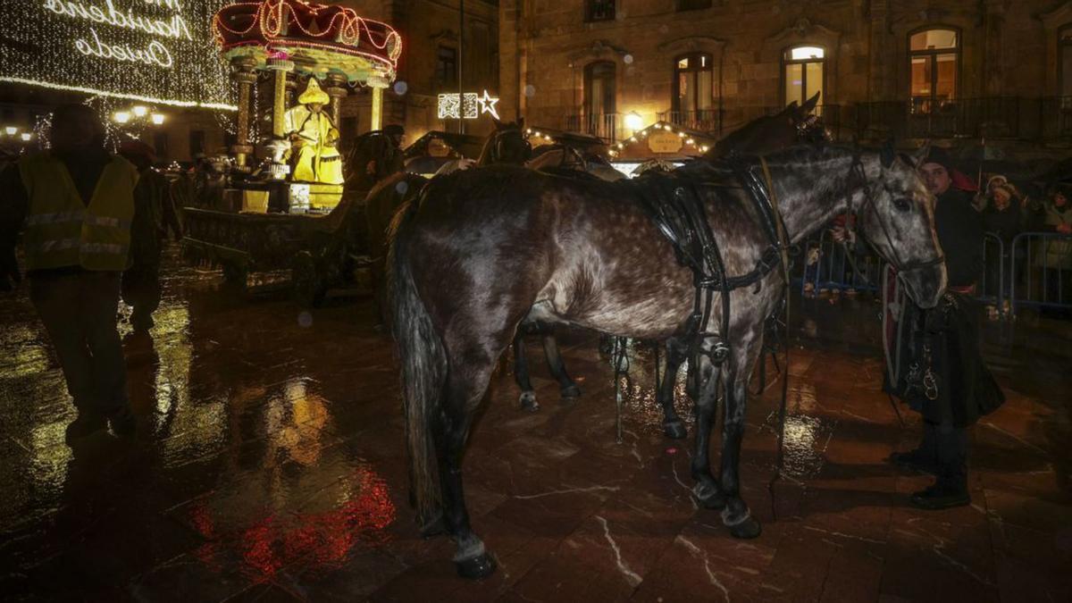 CABALLO CABLAGATA OVIEDO | Así está "Castañito", el caballo que se pegó ...