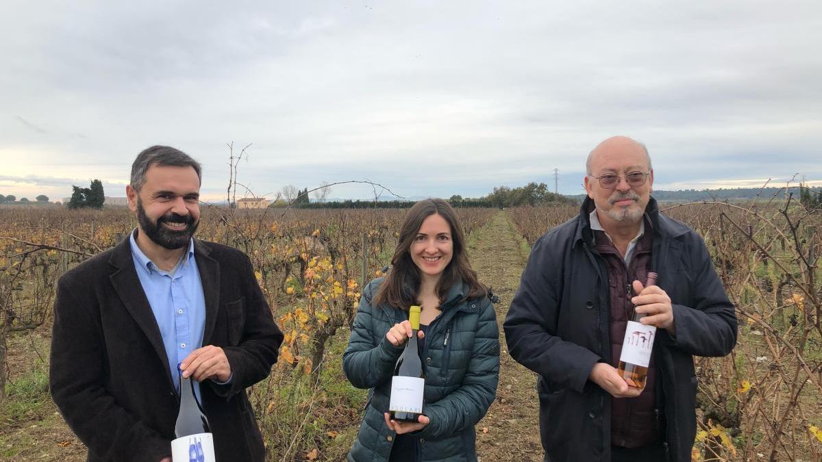 Tres vins de la DO Empordà, escollits com a millors a la Guia de Vins ...