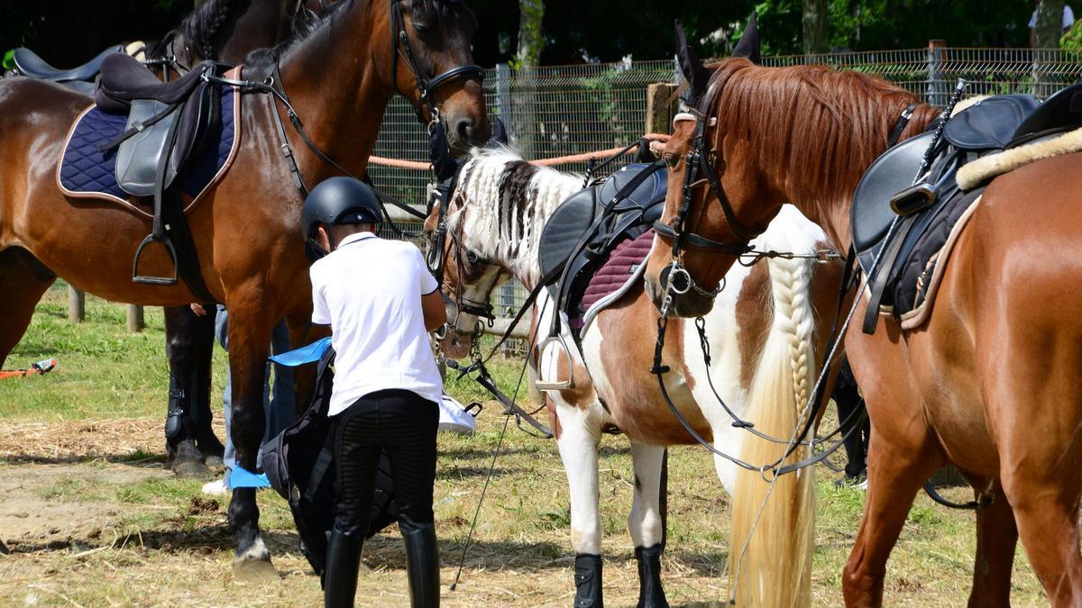 Callobre celebra este sábado la II Festa do Costillar y III Ruta ...