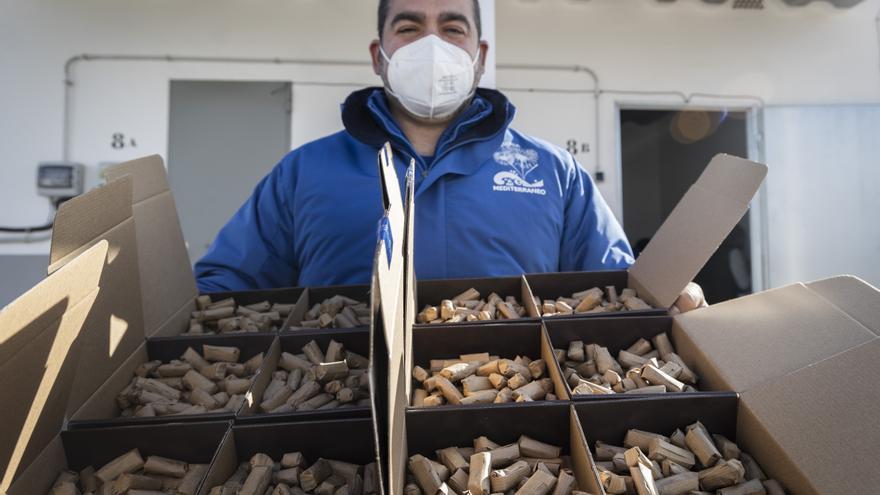 ¿Cual es el origen el "tro de bac" de la "despertà" fallera?