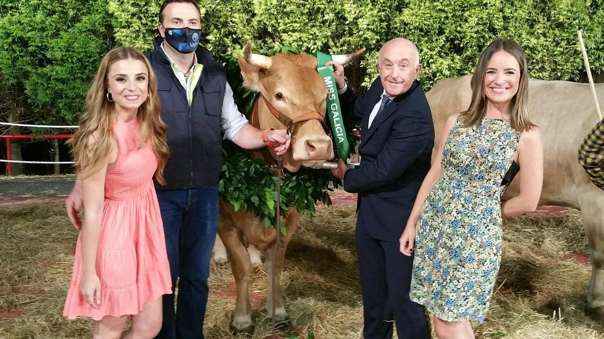 Miss Vaca Galicia 2021 | Ibai Llanos, King África y una nueva victoria ...