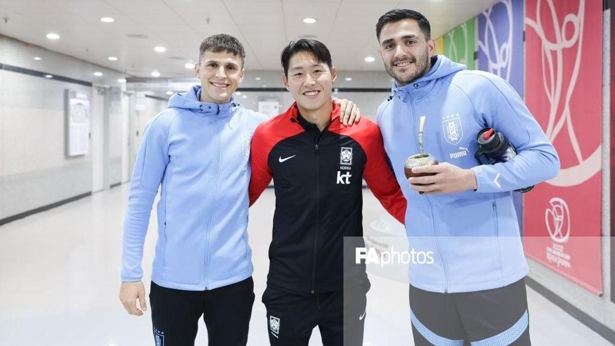 Fútbol. RCD Mallorca | ¿Qué han hecho los 7 futbolistas internacionales ...