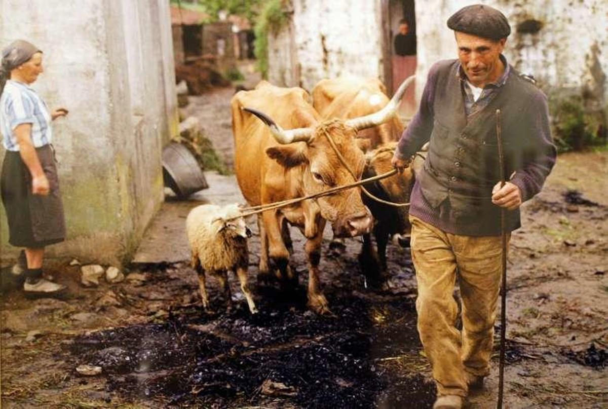 Un foco sobre el "haberlas, haylas"